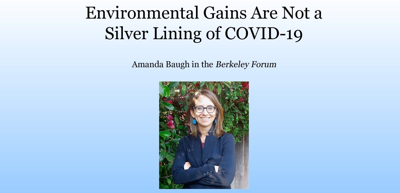 Environmental Gains Are Not a Silver Lining of COVID-19 – Amanda Baugh ...