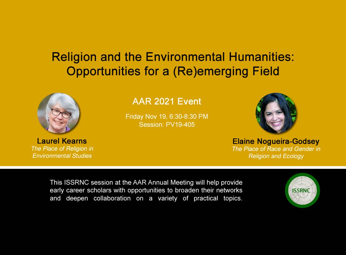 Religion and the Environmental Humanities: Opportunities for a (Re ...